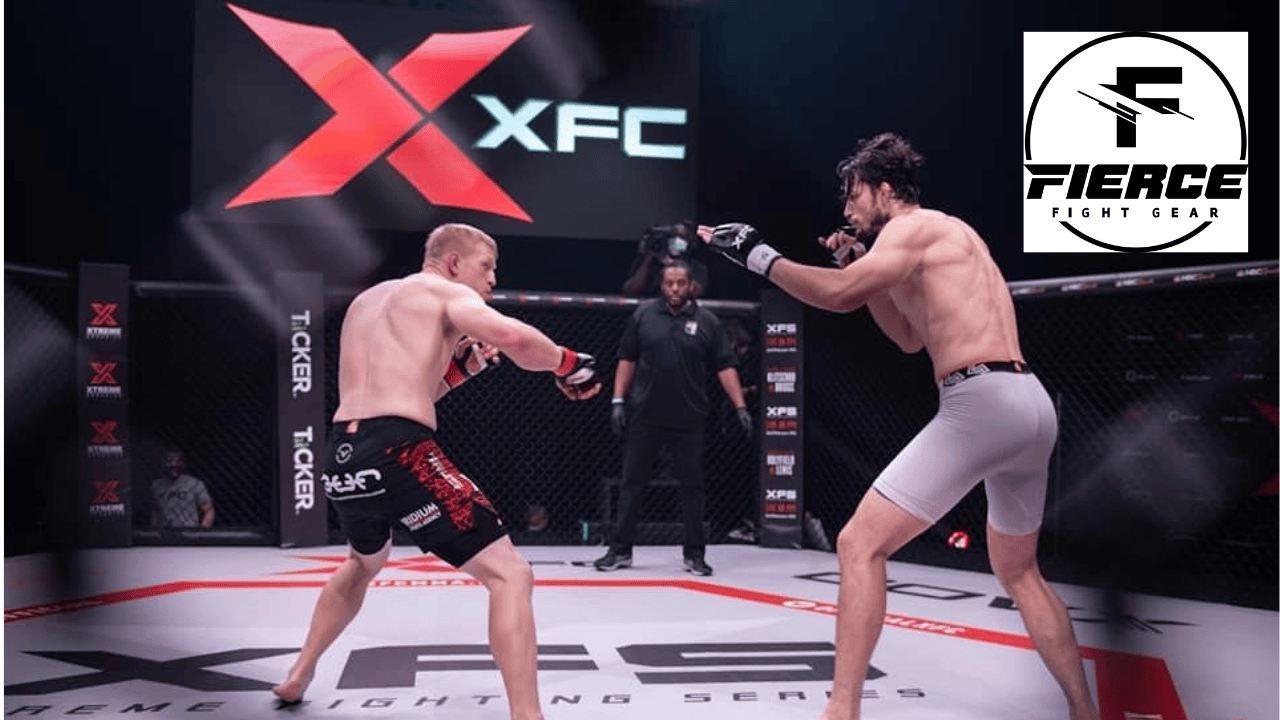 Top 10 Best MMA Organizations and Promotions of all Time